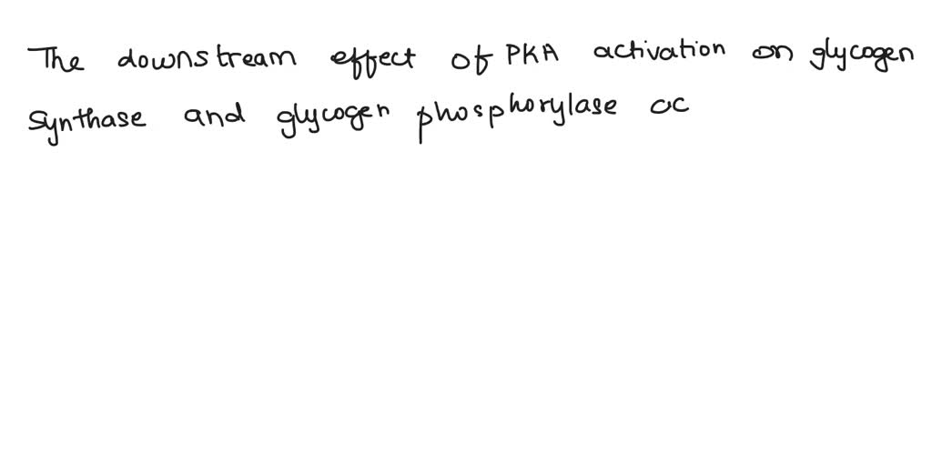SOLVED: The intracellular signalling enzyme protein kinase A is ...
