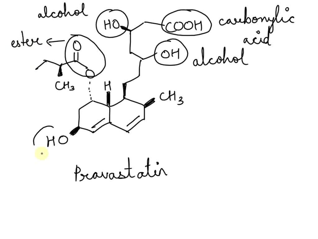 SOLVED: Ho CO2H OH H2C CH3 HO Pravastatin (Pravachol) Circle the ...
