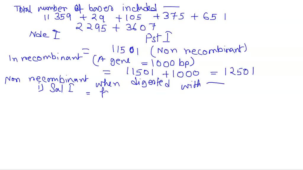 SOLVED: AmpR gene in the plasmid vector: 10_ 2150 bp Selectable marker ...