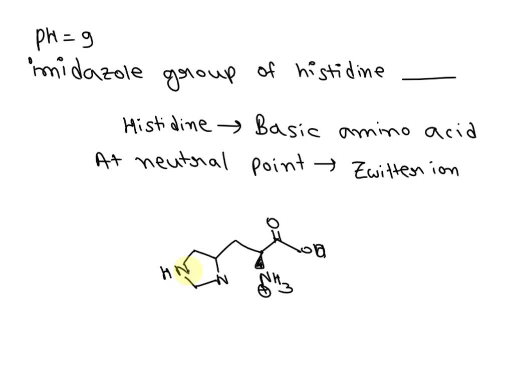SOLVED: In both Mb and Hb , binds: Histidine Ferrous ion in the heme ...