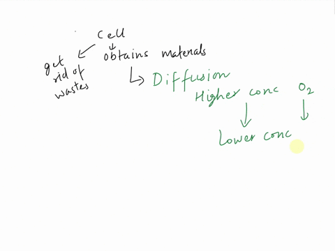 2: How are inputs provided to cells and waste products...