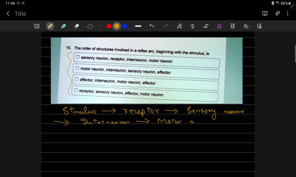SOLVED: The correct order of structures involved in a reflex arc is: a. receptor, sensory neuron ...