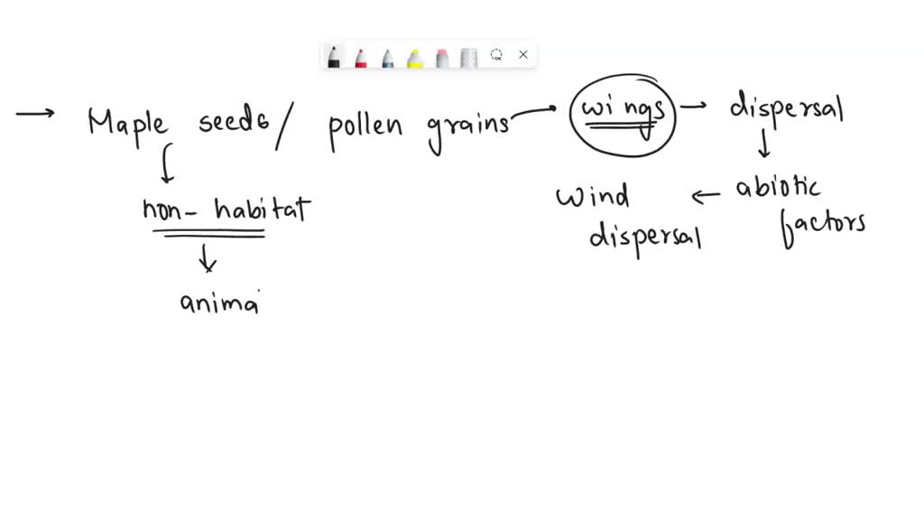 Explain a plausible way that a normally abiotic-dispersal maple seed ...