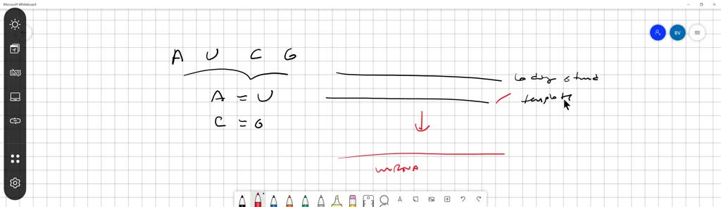 SOLVED: If the sequence of bases in the coding strand of a DNA molecule ...