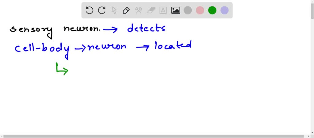 SOLVED: A sensory neuron detects an object touching the palm of the ...