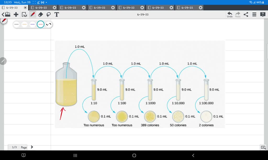 SOLVED: why does bacterial enumeration using serial dilution and ...