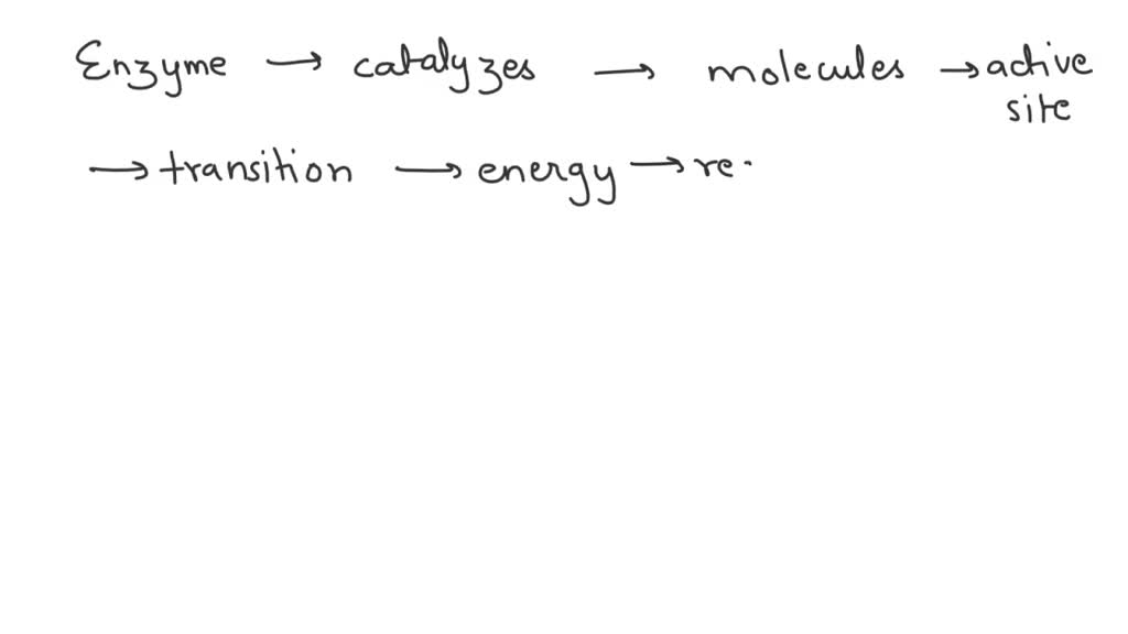 Biochem Enzyme Activity at Brayden Hervey blog
