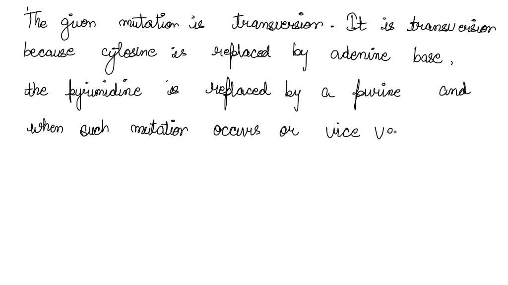 Solved Gene Mutations Problem Set Is The Following Mutation Transition Or 3 Transversion