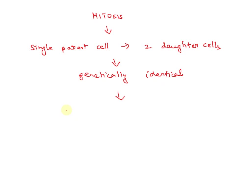 SOLVED: a human skin cell at G1 of the cell cycle has.... the same DNA ...