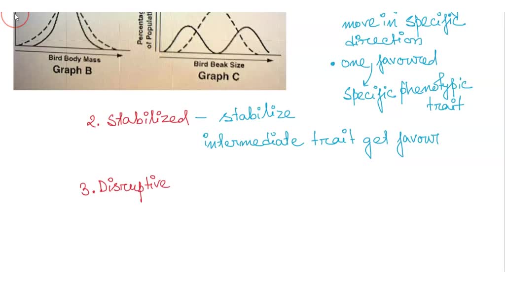 SOLVED: 'Identify the 3 types of natural selection indicates by each ...