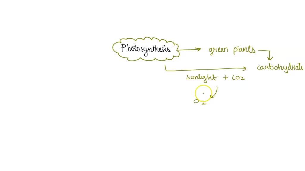 SOLVED: Which describes a disruption in the water cycle that could ...