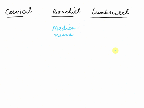 8 Label the following nerves and plexuses on Figure...