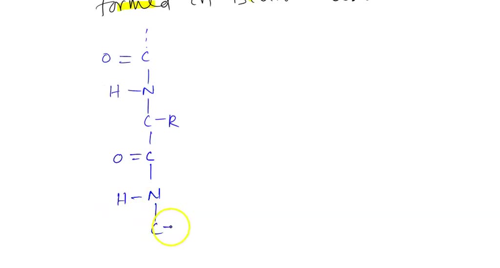 SOLVED: Questions to answer: 1. Draw a possible structure for the ...