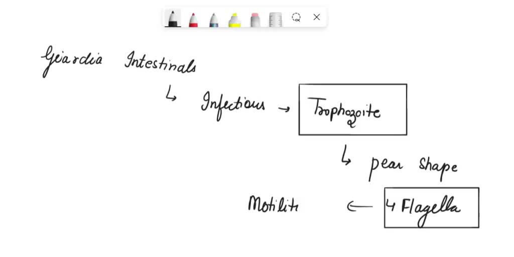 SOLVED: C.1. Match each with a disease and/or description of the ... SOLVED: C.1. Match each with a disease and/or description of the ...