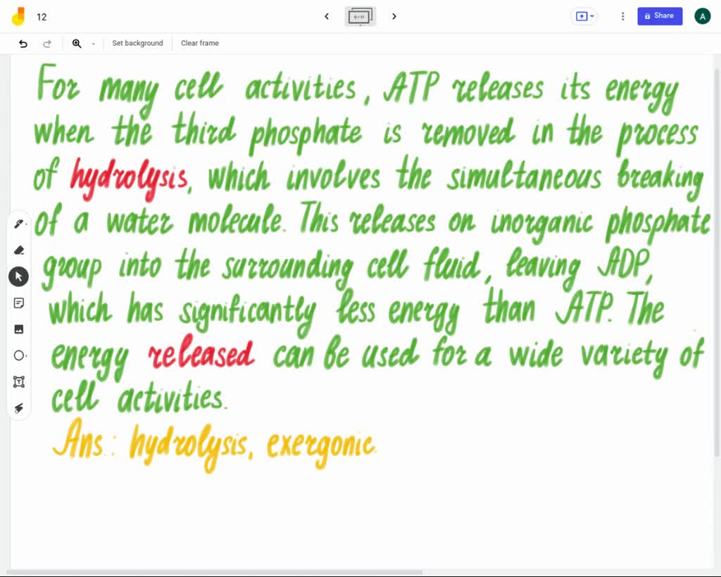 SOLVED: Which two terms both describe the when phosphate group is ...