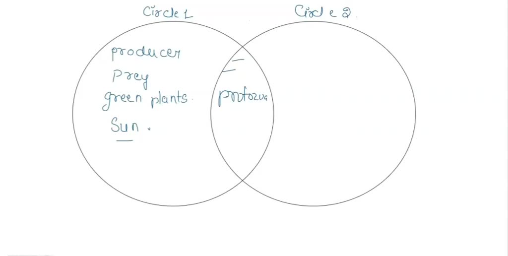 SOLVED: And place all of the following words in it: 10. Label the Venn ...