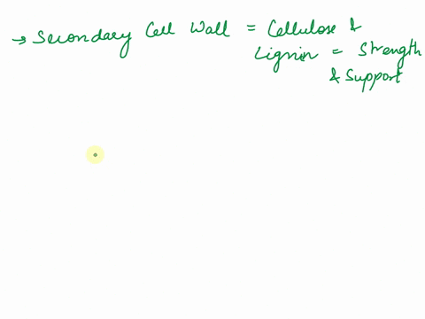 Where is the secondary cell wall formed in relation to the plasma ...