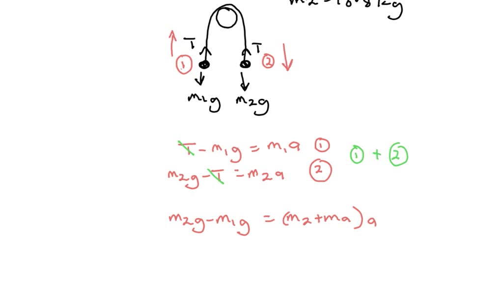Solved The Two Masses ﻿m Subscript 1﻿65 Kg And ﻿m Subscript 2﻿168 Kg Are Connected By A 