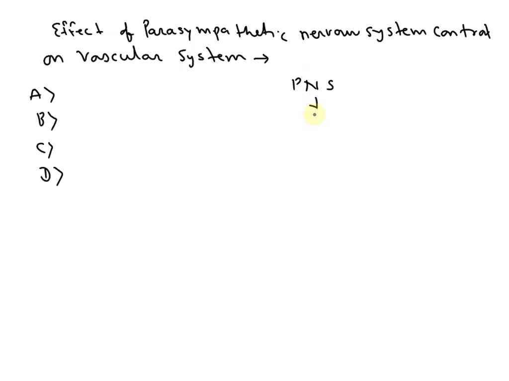 SOLVED: What happens when epinephrine binds to beta-adrenergic ...