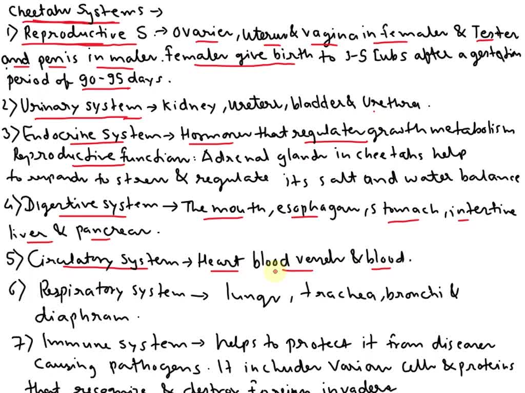 SOLVED: Describe each system of cheetahs: 1. Reproductive system (and ...
