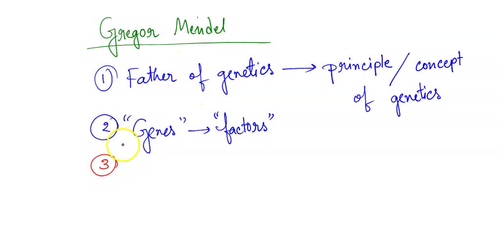 SOLVED: List 3-5 important facts that highlight Gregor Mendel's work ...