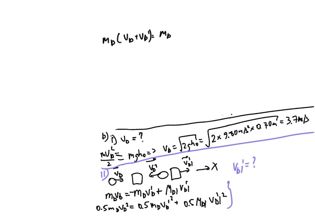SOLVED: 'Problem #1 (3+1+1+1+1-7 points) A 45 kg block is attached to massless spring with the ...