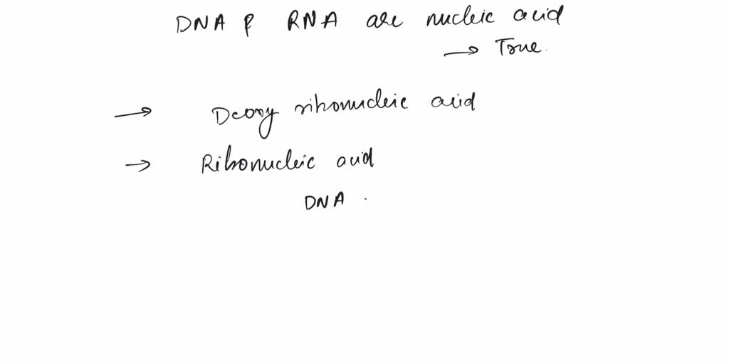 True or false? DNA is the only molecule known to serve as the stable ...