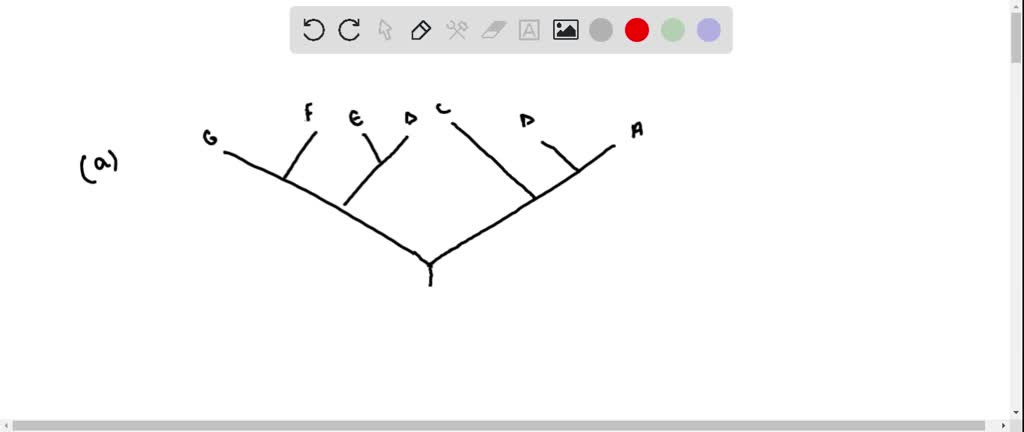 SOLVED: 'Use the following tree to answer the question below: Which of ...