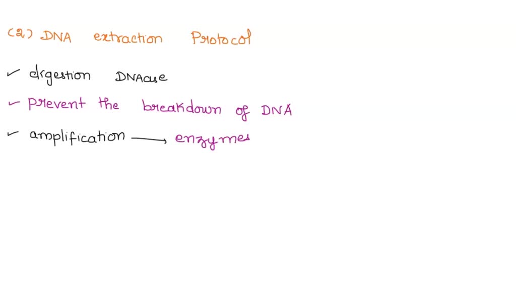 SOLVED: The DNA extraction protocol includes the heat inactivation of ...