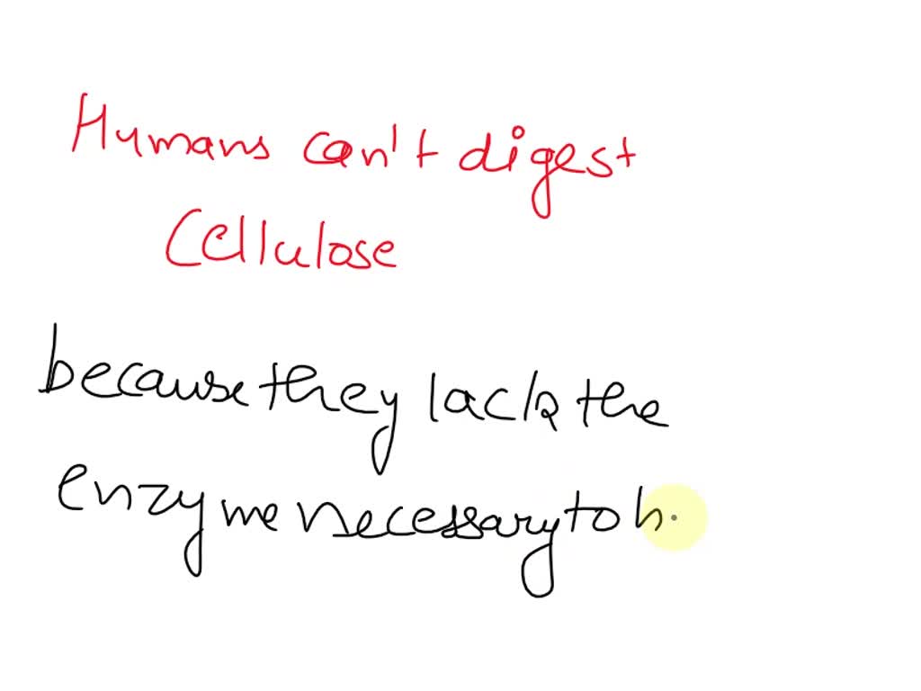SOLVED: Humans cannot digest cellulose because: A. The glucose units ...