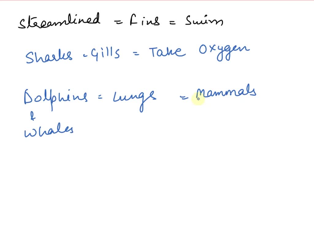 SOLVED: The streamlined bodies seen in sharks, tuna, and dolphins best ...