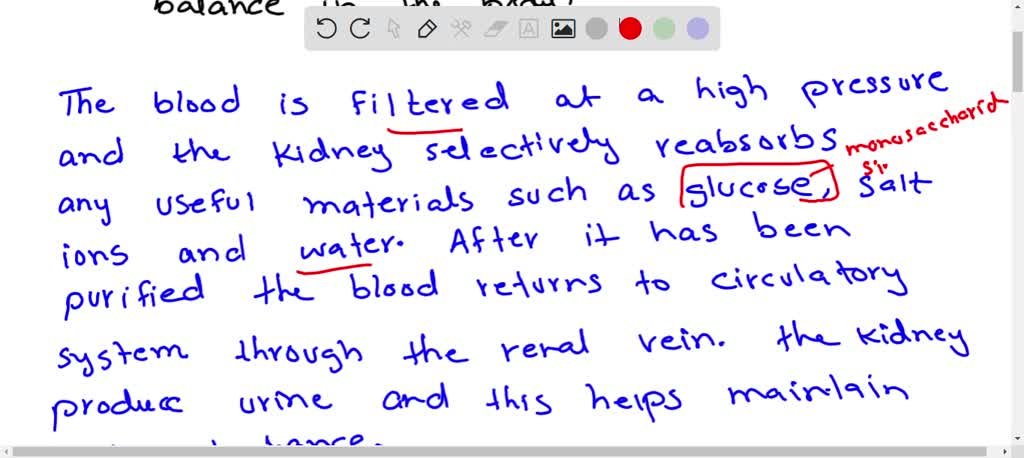 SOLVED: Explain the relationship between fluid and electrolyte balance ...