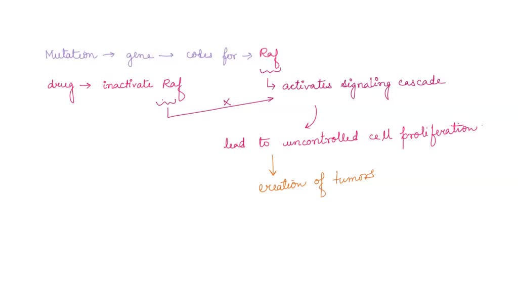 SOLVED: Gain of Function mutation in the gene that encodes Raf causes ...