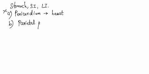 Liver Anterior Mesenteries Greater omentum Peritoneal cavity Visceral ...