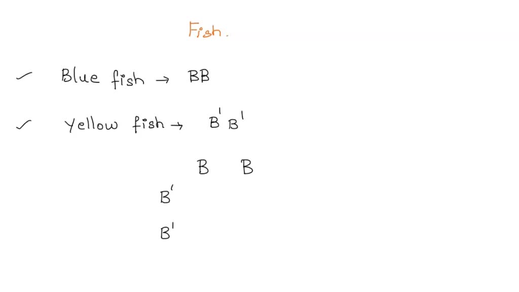 SOLVED: Cross a blue fish (BB) with a yellow fish (B'B'). Color code ...