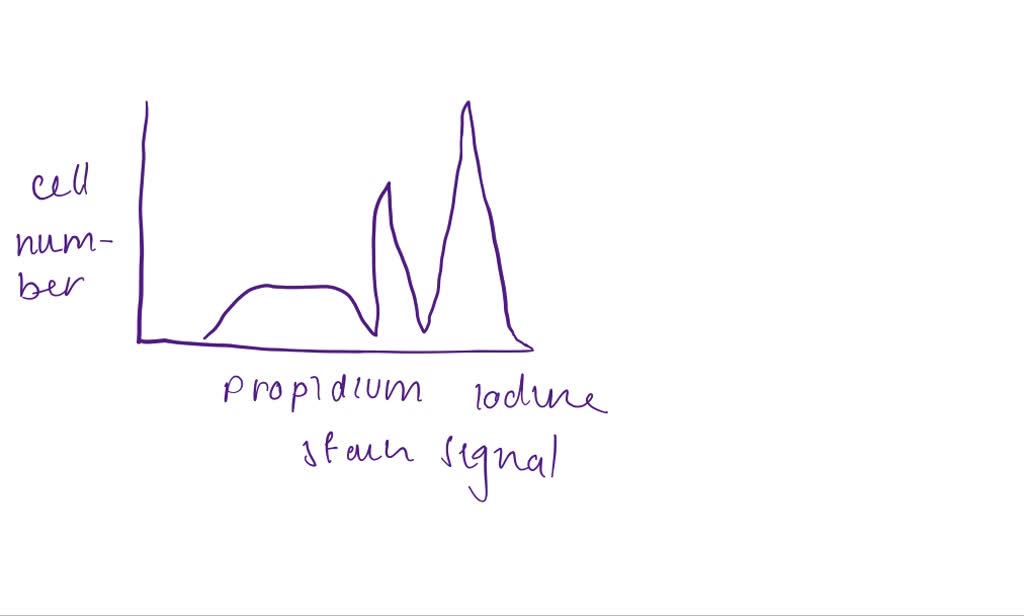 SOLVED: Propidium Iodine Stain Signal The graph above was generated by ...