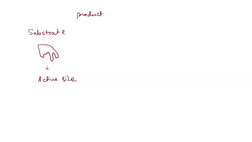 SOLVED: Come up with an analogy or draw a cartoon to explain how ...