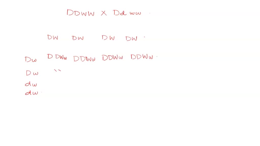SOLVED: In the fly Drosophila, the allele for dumpy wings (d) is ...