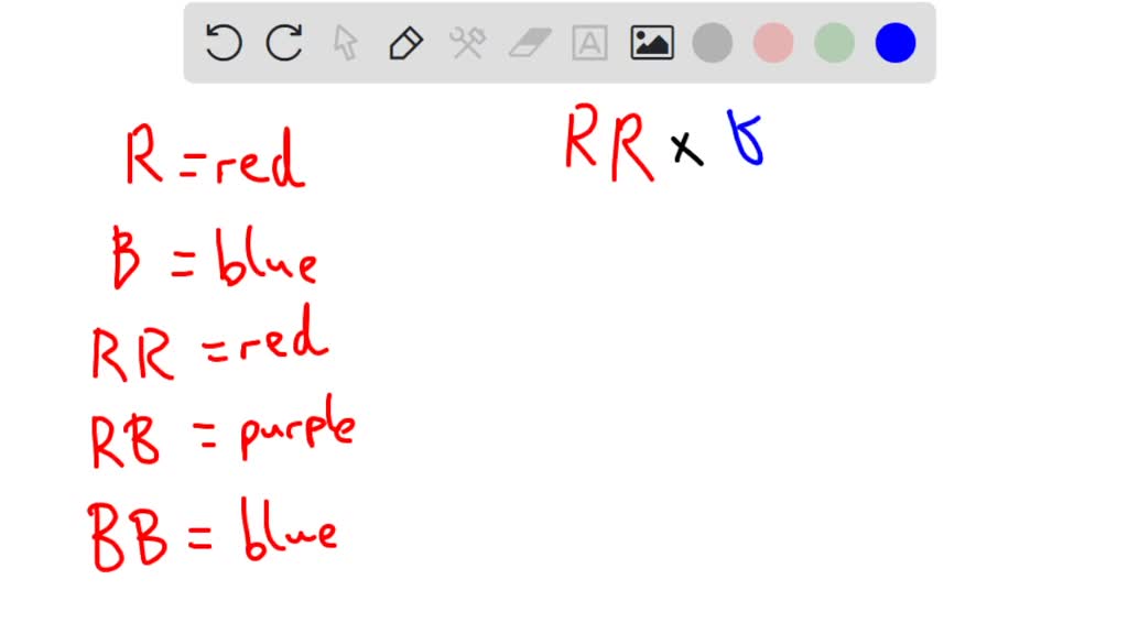 SOLVED: What would happen if SpongeBob crossed a Poofkin with red ...