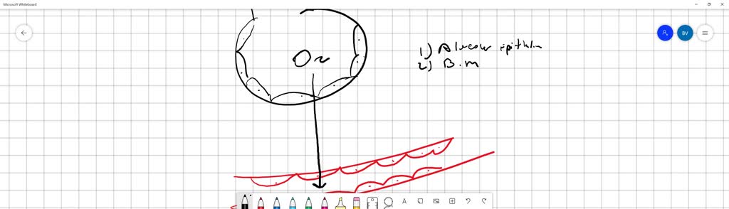 SOLVED: Drag each label to the appropriate location on the flowchart. oxygen binds to a molecule ...