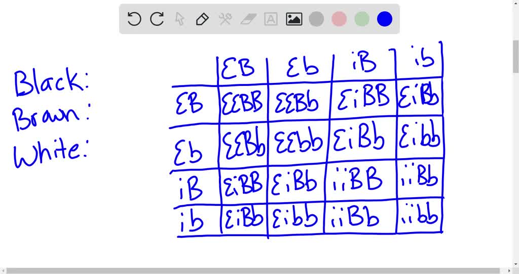 SOLVED: Coat color of dogs depends upon the action of at least two ...