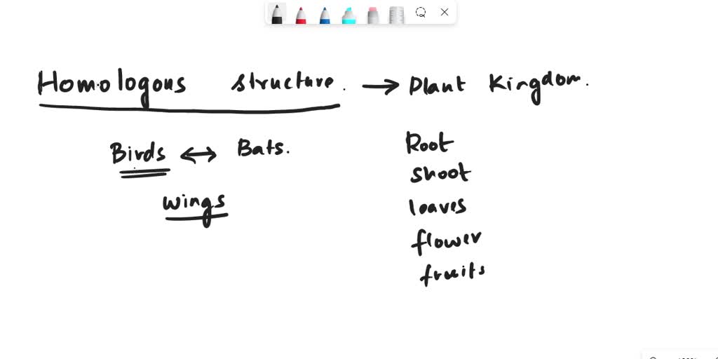 SOLVED: Can someone who is very knowledge about plants please tell me ...