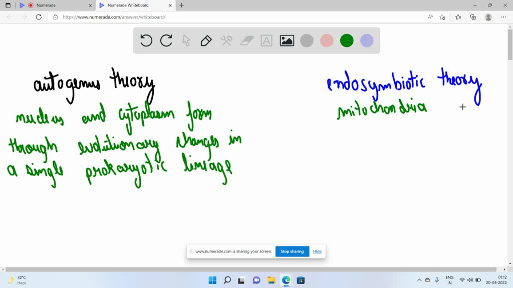 SOLVED: How does the theory of endosymbiosis differ from the autogenous ...