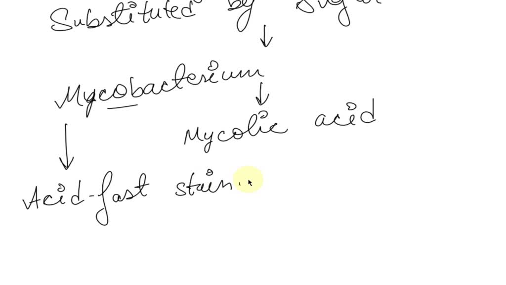 SOLVED: The difference in cell wall structure of Mycobacterium and ...