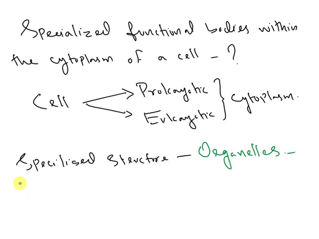 SOLVED: What are the rigid structures that surround Elodea cells called ...