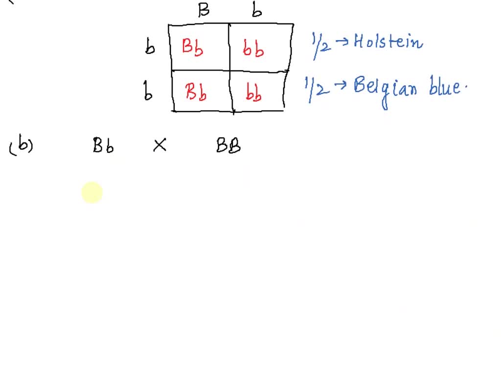 SOLVED: (Genetics Question. Please help with correct answers.) The ...