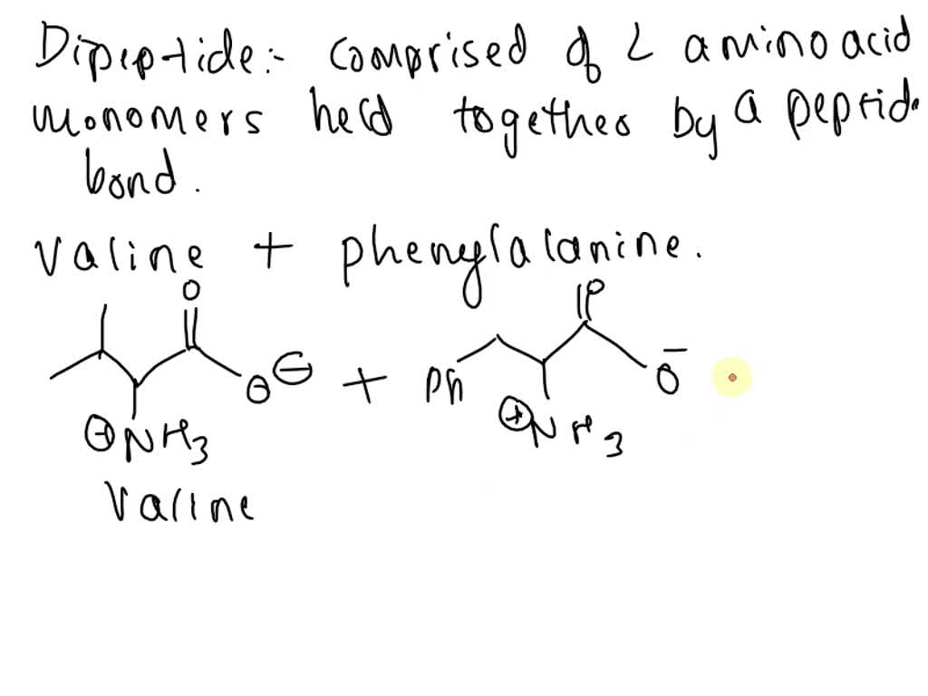 SOLVED: Draw the resulting dipeptide formed from the combination of the ...