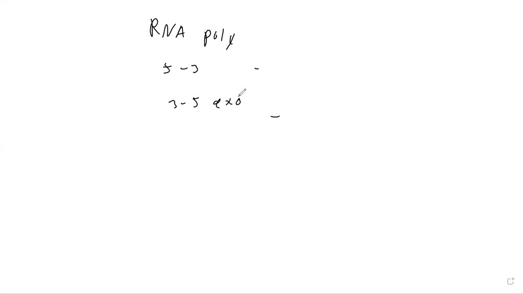 SOLVED: Suppose that a portion of double-stranded DNA in the middle of a large gene is being ...