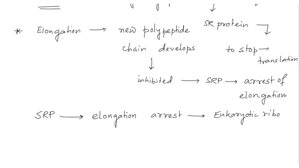 SOLVED: Give details of the Signal Recognition Particle. Of what is it ...