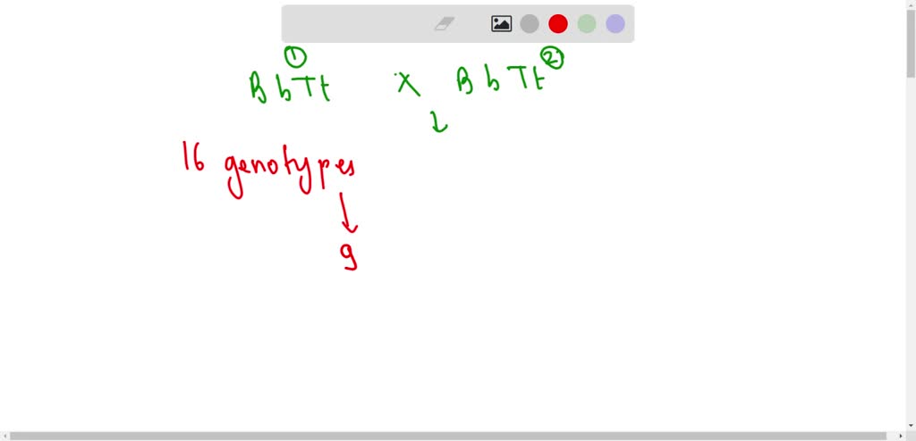 SOLVED: 3a. At the molecular level, what is the difference between ...